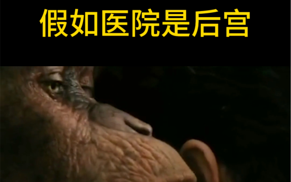 如果医院是后宫,那甄嬛能当上护理部主任吗?