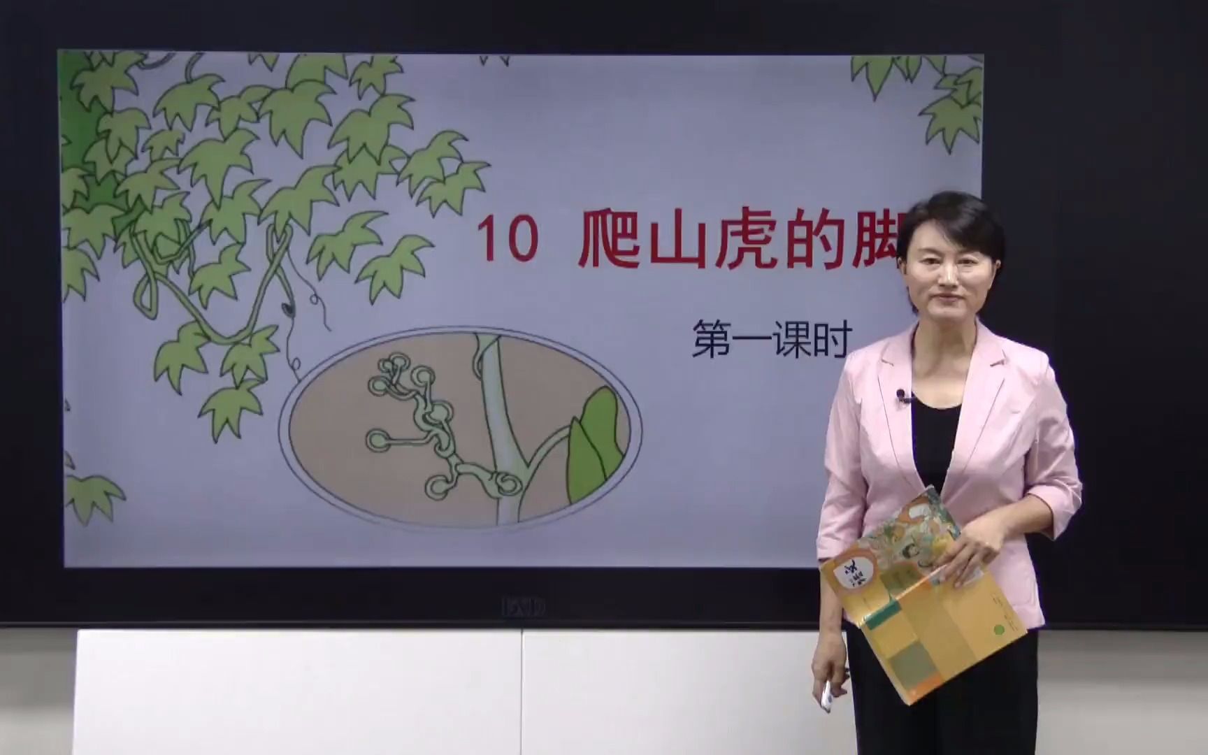 部编版小学四年级语文上册:第10课《爬山虎的脚》,(第一课时)