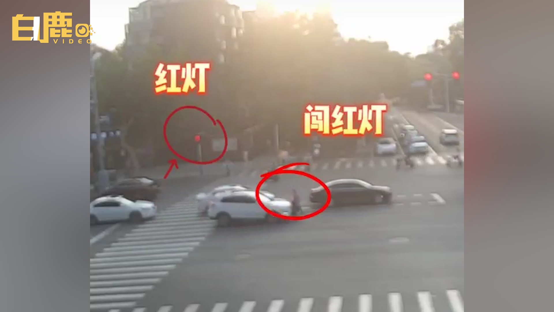 女子闯红灯被撞反怼机动车不让行