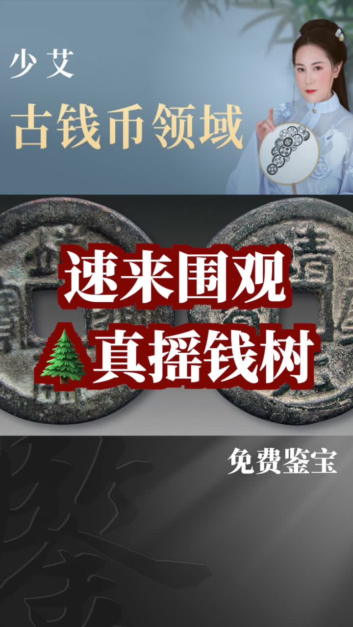 古代的钱树,你见过吗?
