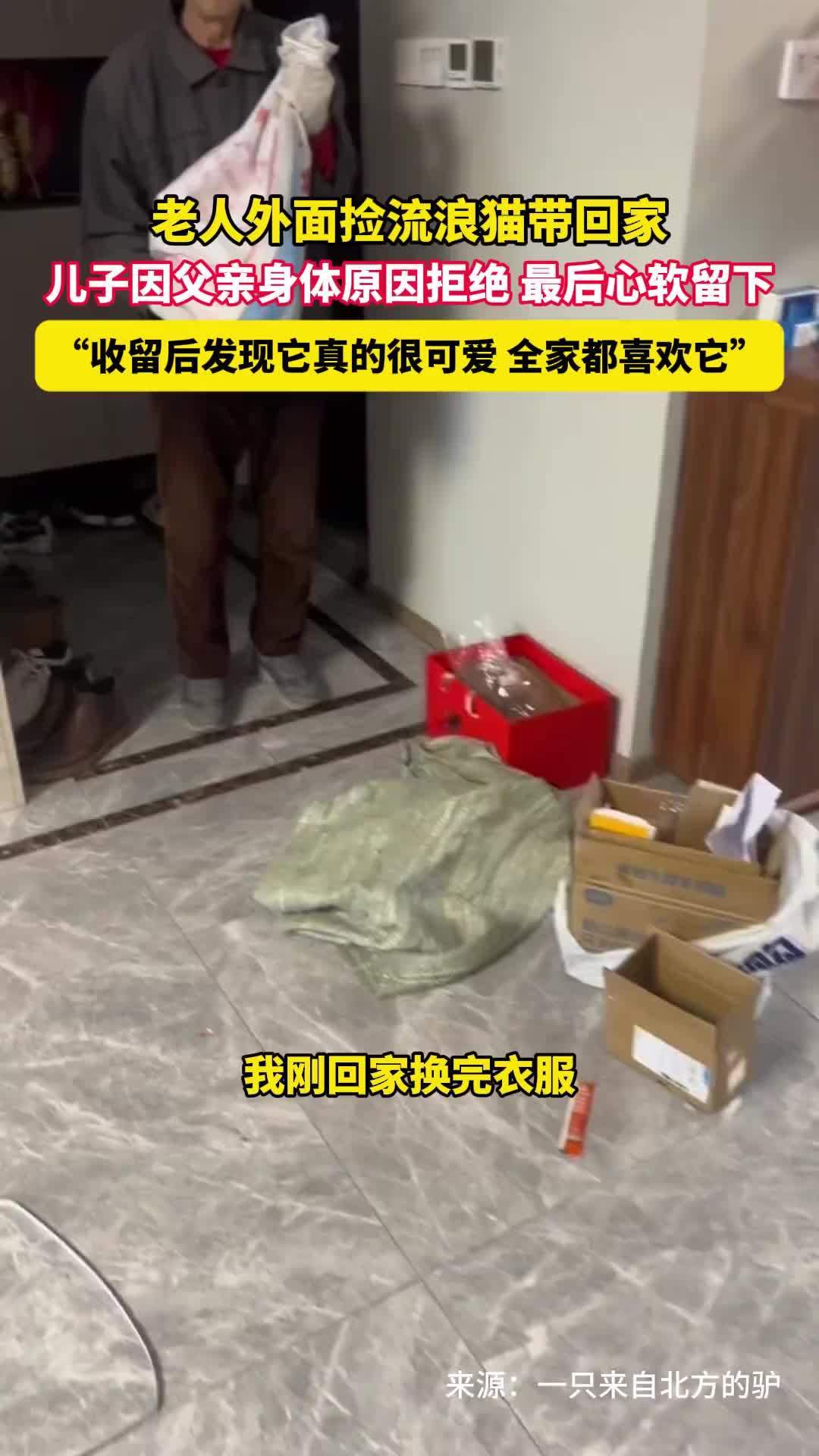 老人外面捡流浪猫带回家,儿子因父亲身体原因拒绝