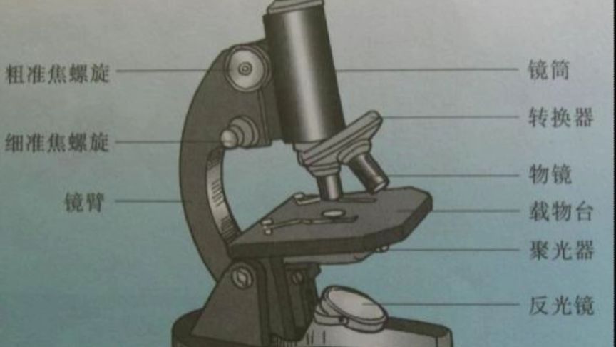 显微镜的规范使用是初中生物实验操作的考察重点,同学们好好看看