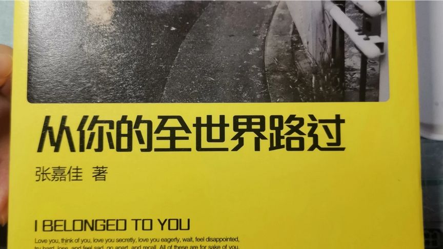 【夜读】从你的全世界路过