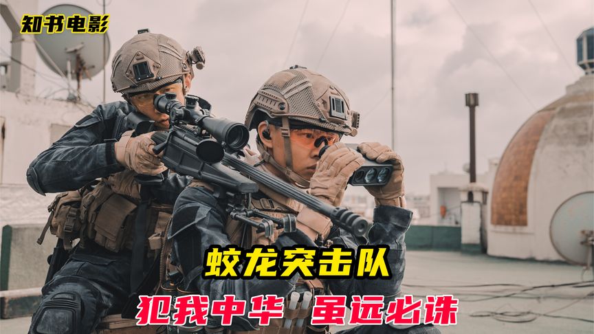 红海行动:国内军旅题材电影天花板,根据真实事件改编