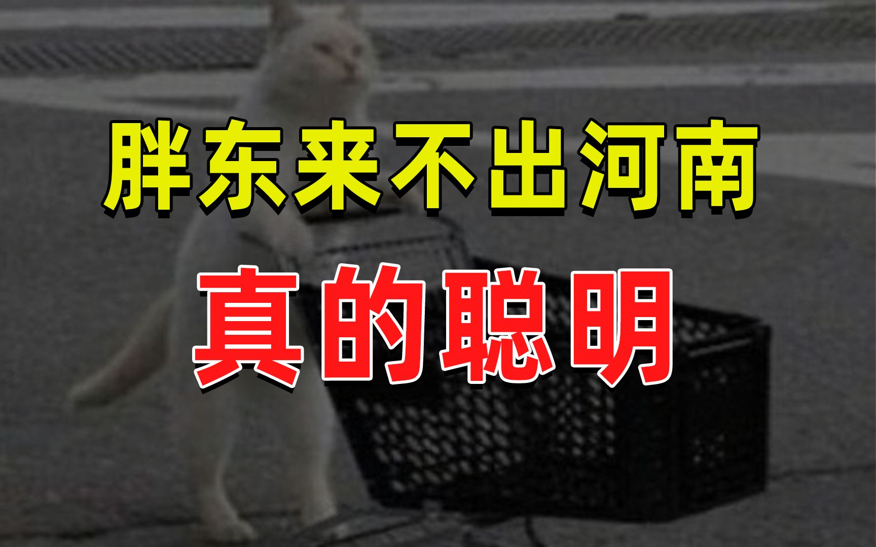 【半佛】胖东来不出河南,真的聪明