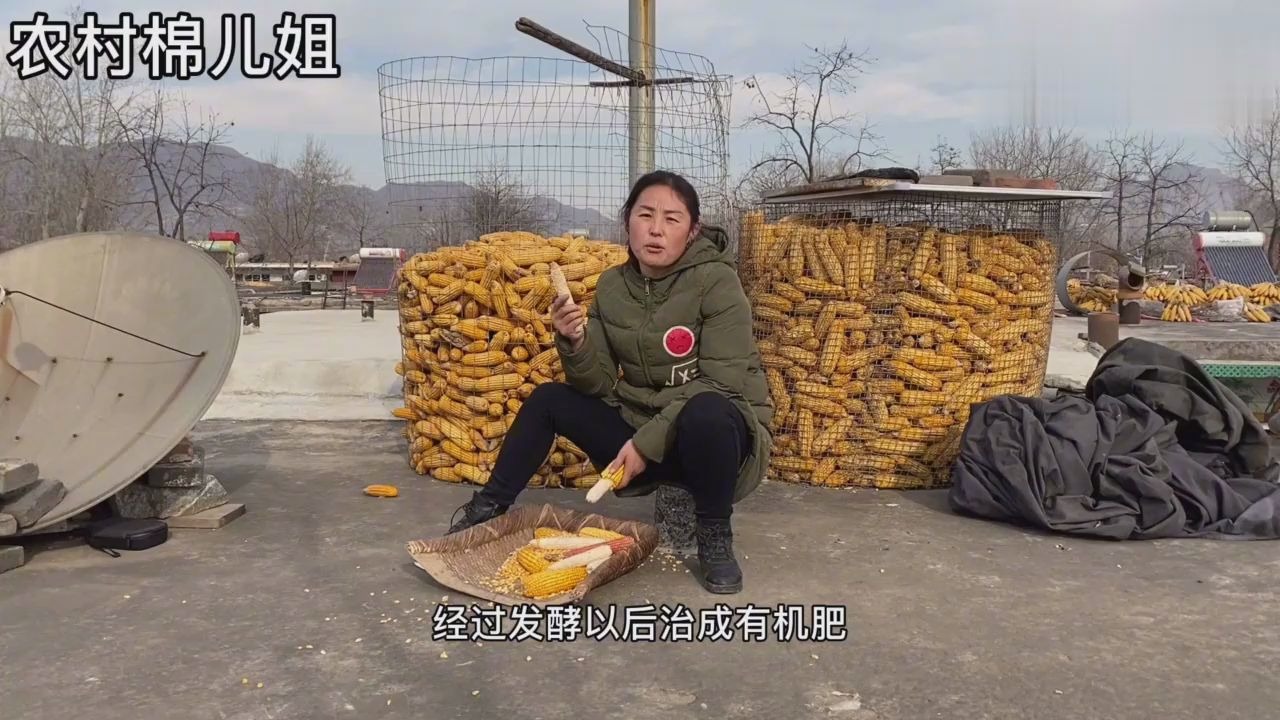 农村常见的玉米芯好处竟这么多?用它当柴烧太浪费了,别再浪费了