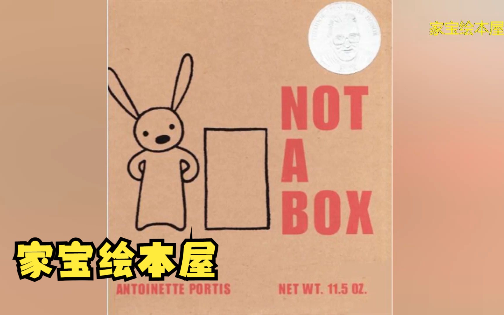 初级英文绘本17:NOT A BOX 不只是个盒子