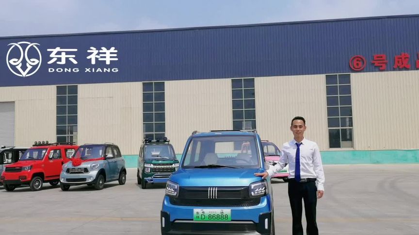 #低速老年代步车 #电动车#老头乐
