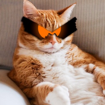 橘汁肥猫 