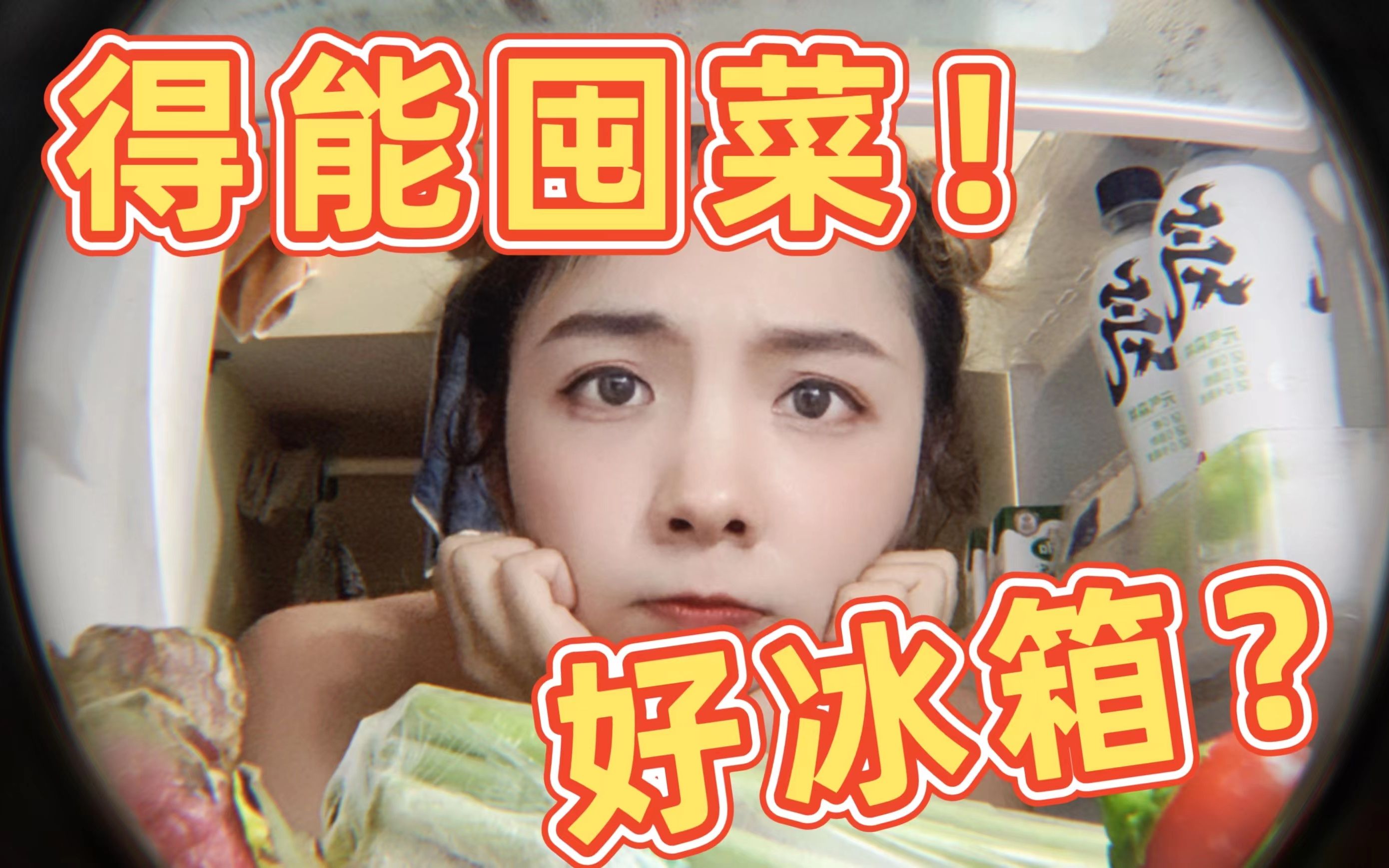 2022大容量冰箱怎么选?附30个热销款性能参数横评