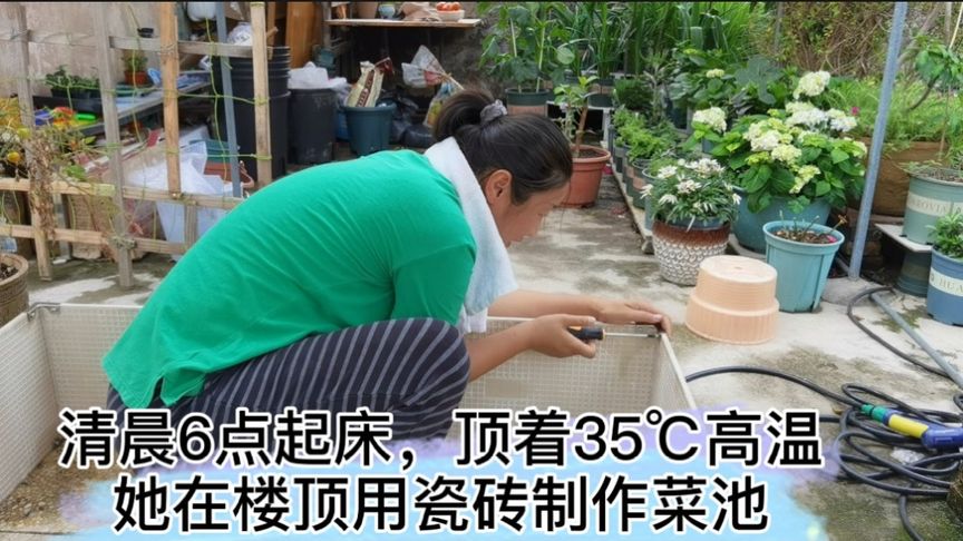 楼顶种菜,她清晨6点,顶着35℃高温,制作瓷砖种菜池,简单耐用