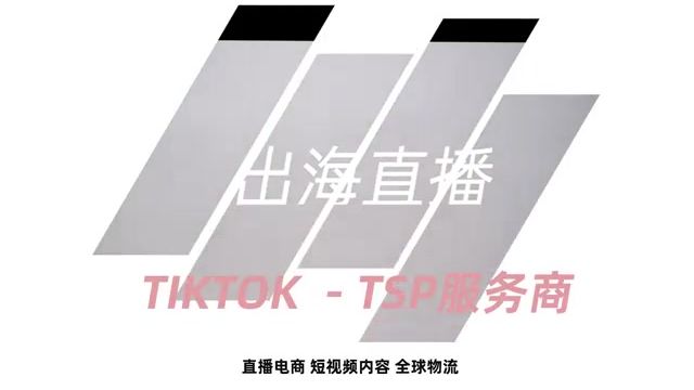 #tiktok跨境电商 #跨境电商