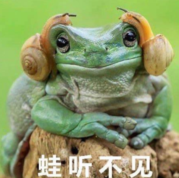 小琳每天在干嘛 