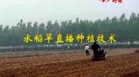 水稻旱直播种植技术(部分)