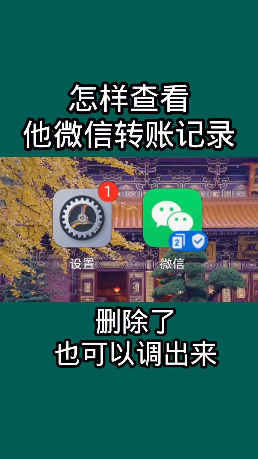 怎样查看他微信转账记录?