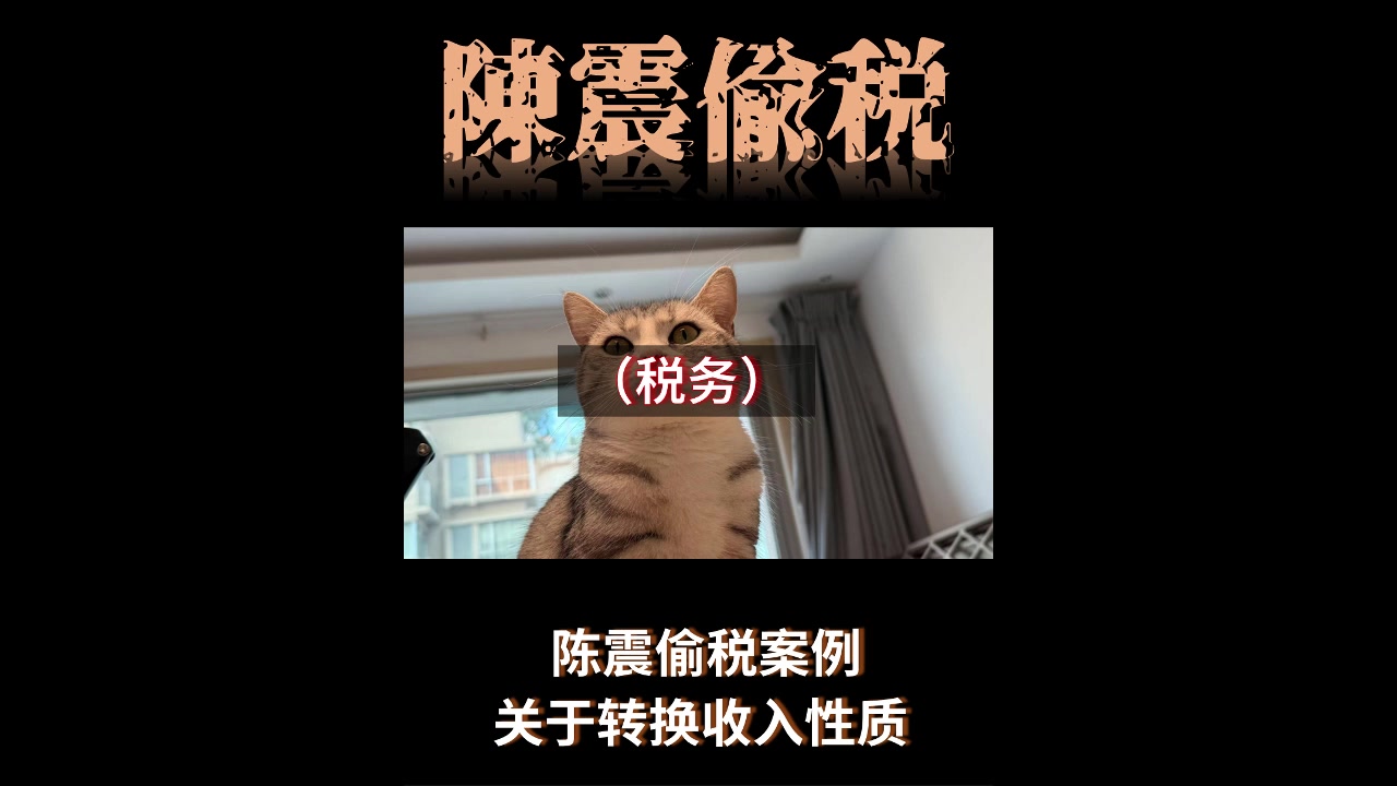 陈震偷税案例,关于转换收入性质