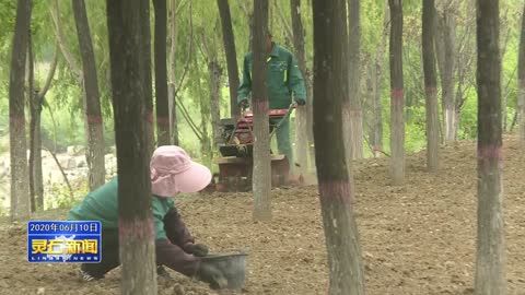 县园林绿化服务中心:种植管护齐抓并重 送技下乡提供技术支撑