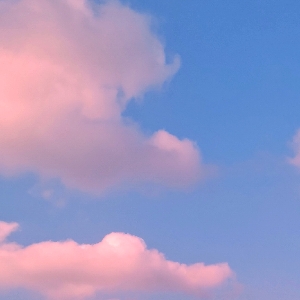 Paper-Fly 