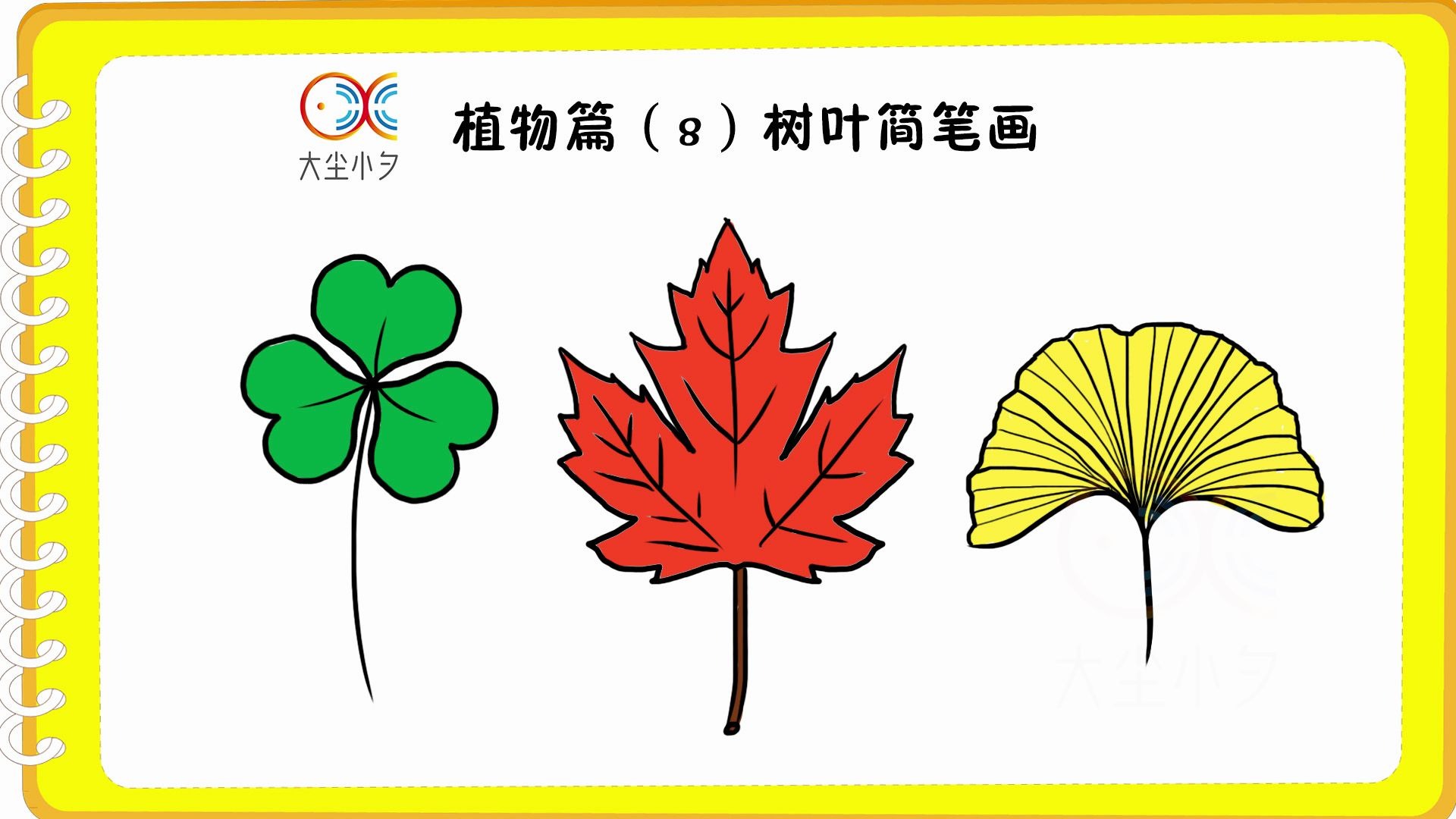 植物篇(8)树叶简笔画教程
