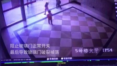 熊孩子推拉自动玻璃门致其破碎掉落一地