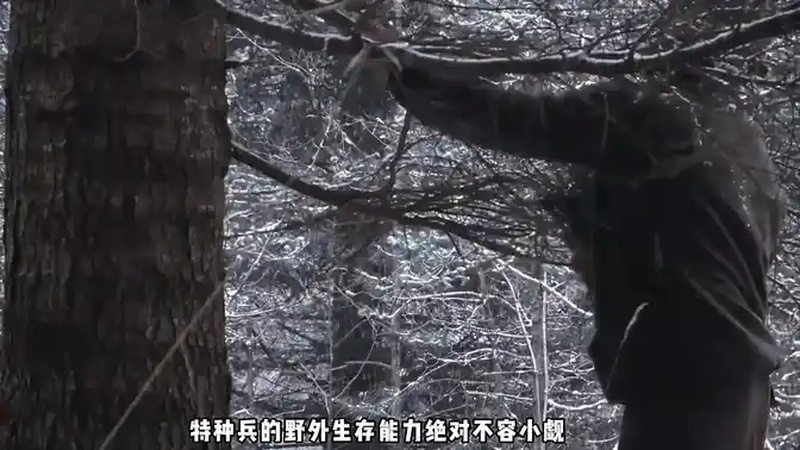 大暴雪马上就要来临特种兵神速搞定地下碉堡壁炉设计一应俱全
