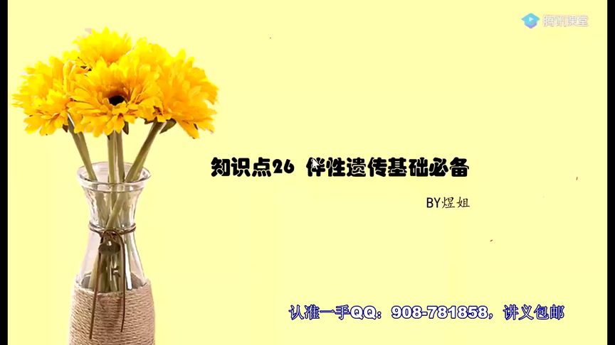 1.27-【知识点26】伴性遗传基础必备