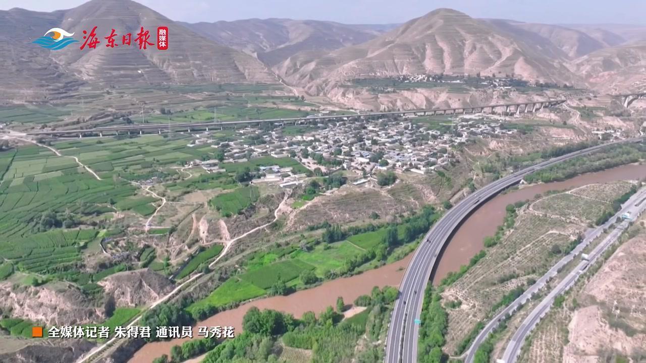 民和县标准化青年鸡养殖场正式投产#养殖#产业发展#青海海东