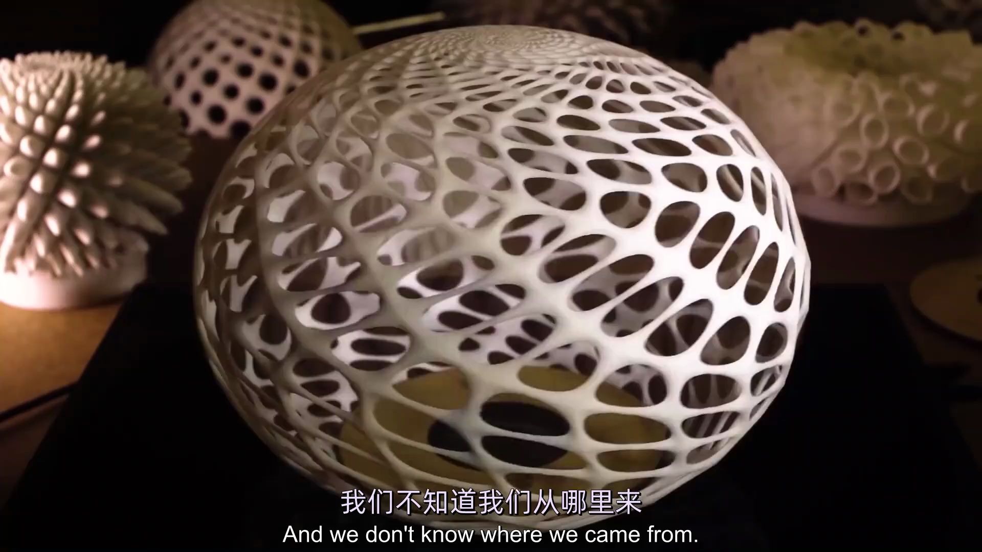 设计资讯——数学之美:绽放的几何之花