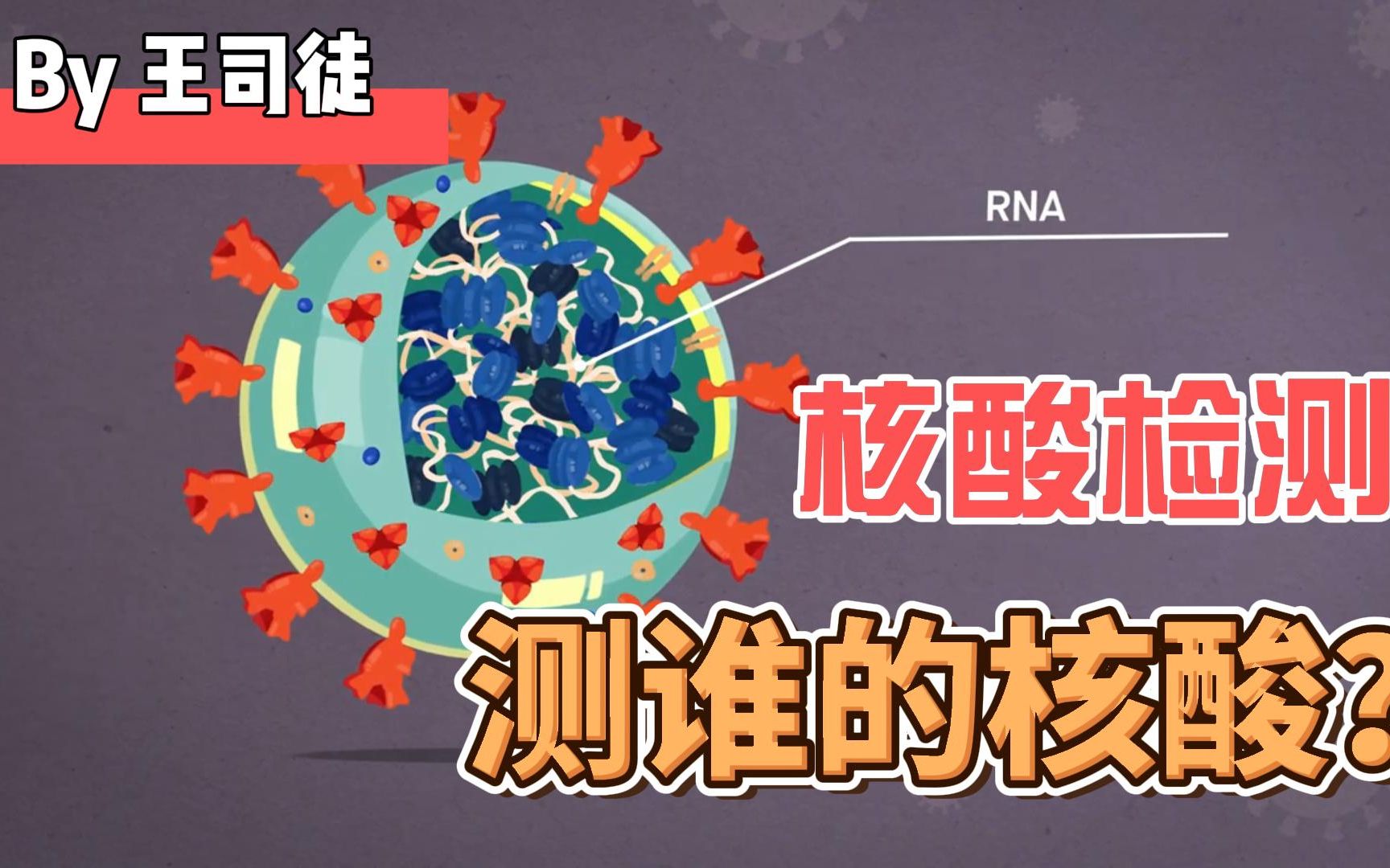 核酸检测怎么检测出病毒?测谁的核酸?