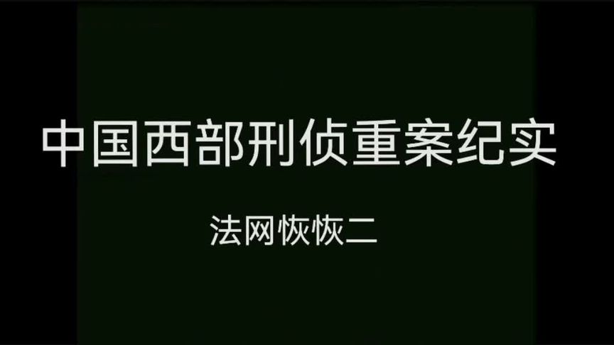#真实事件 《中国西部刑侦大案纪实》