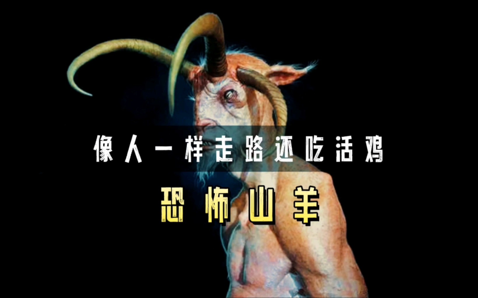 原来动物模仿人类的行为后,会变得更可怕
