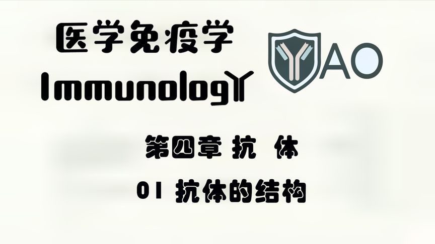 04_01 抗体的结构