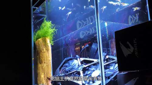 科普小知识能养鱼的电脑主机