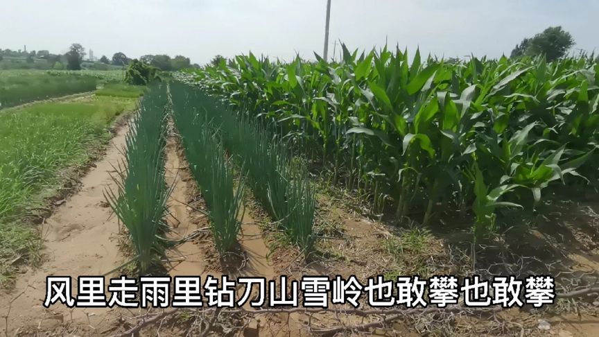 残疾人农村日常生活励志真实视频