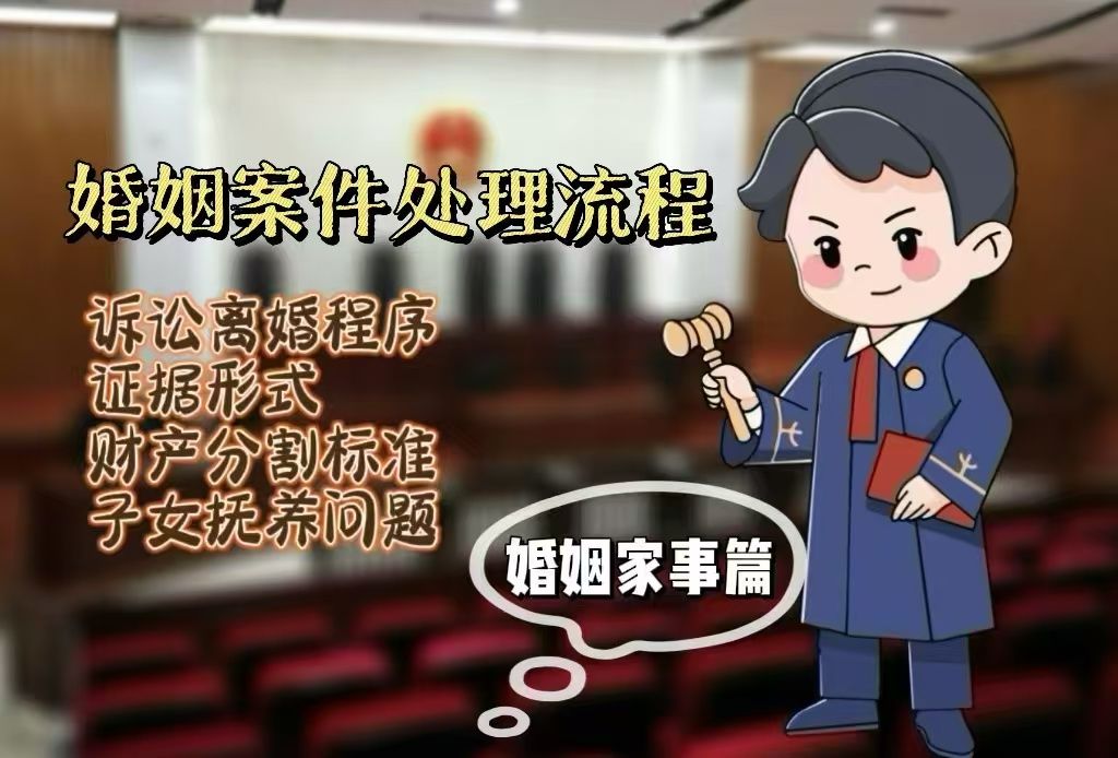 【婚姻家事】离婚诉讼处理流程(诉讼离婚程序、证据形式、财产分割...