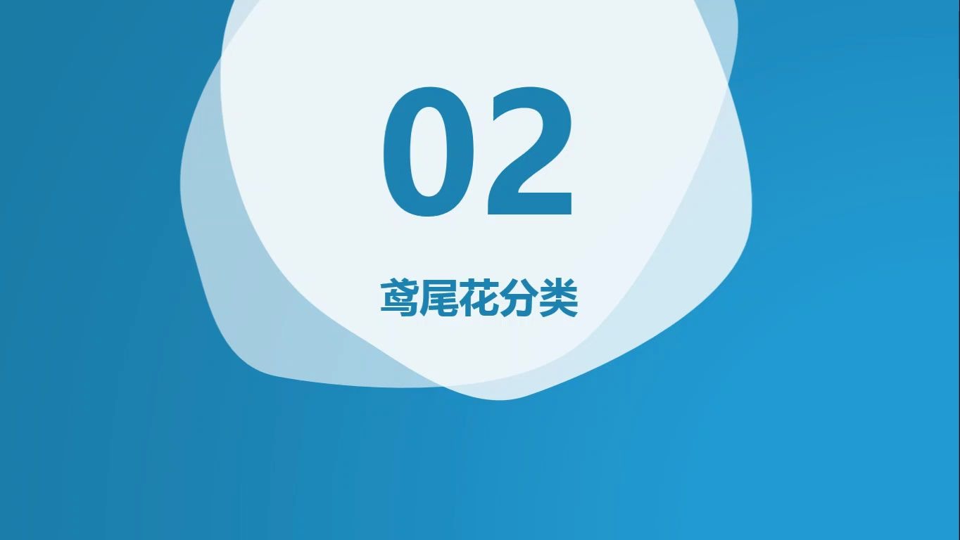 鸢尾花分类问题