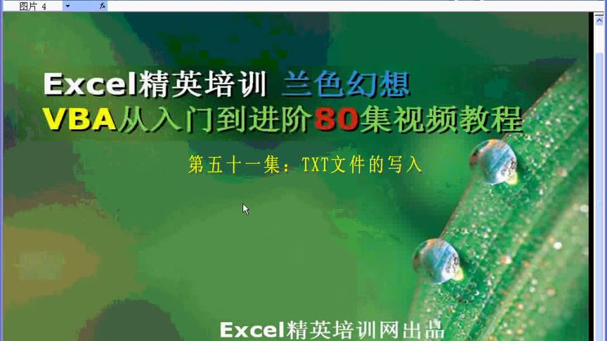 VBA80集第51集txt文件写入