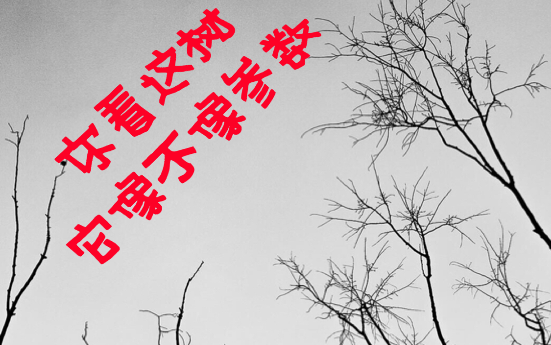 【参数方程-极坐标】圆,椭圆,直线参数方程与极坐标,变形方法,及高考...