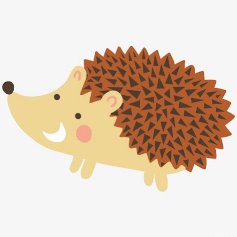 刺猬小扎 