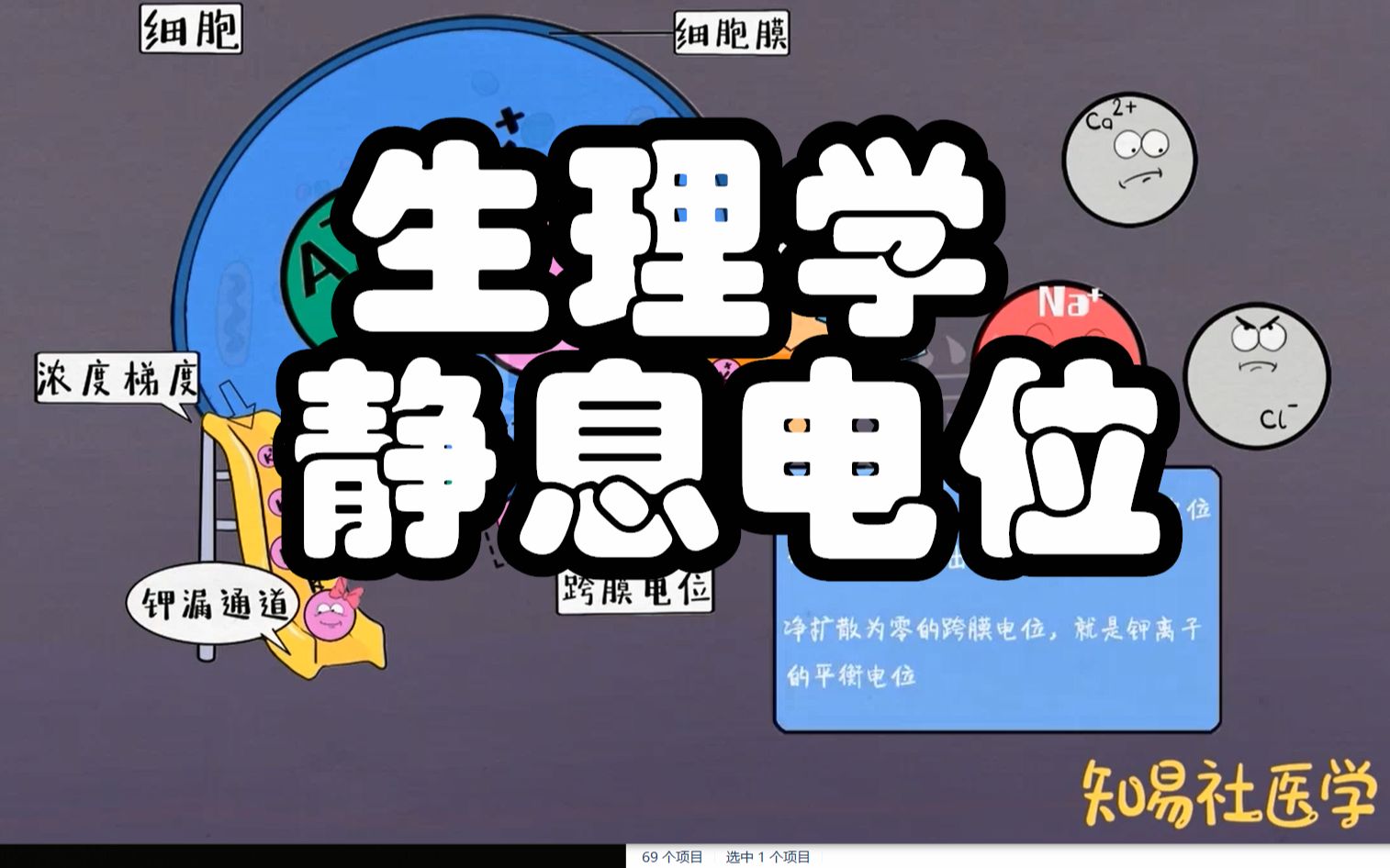看医学生如何动画演绎医学考点 ▶静息电位 史上最详细的静息电位...