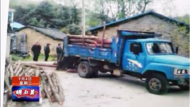 安庆怀宁:滥伐林木 被判徒刑