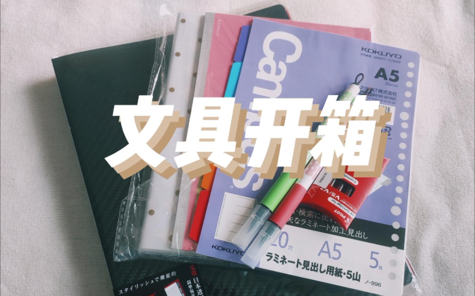 ...开箱|薅羊毛|国誉活页封套本|吴竹笔|国誉分割页|施耐德钢笔|百乐墨胆
