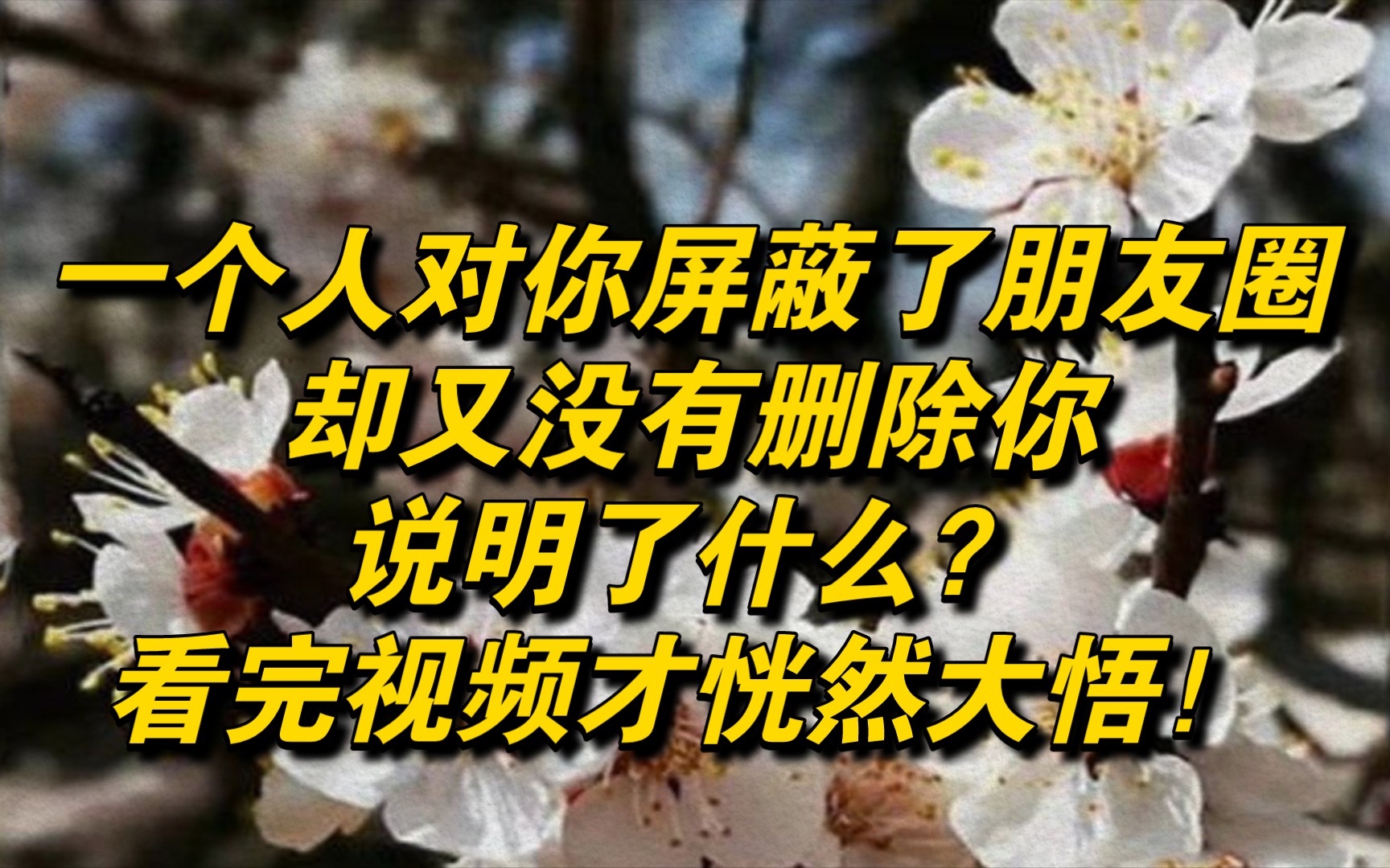 如果一个人对你屏蔽了朋友圈,却又没有删除你,说明了什么?看完视频才...