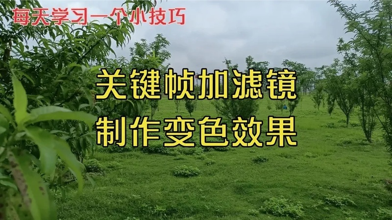 1分钟教你用关键帧加滤镜制作变色效果,方法简单,新手一看就会