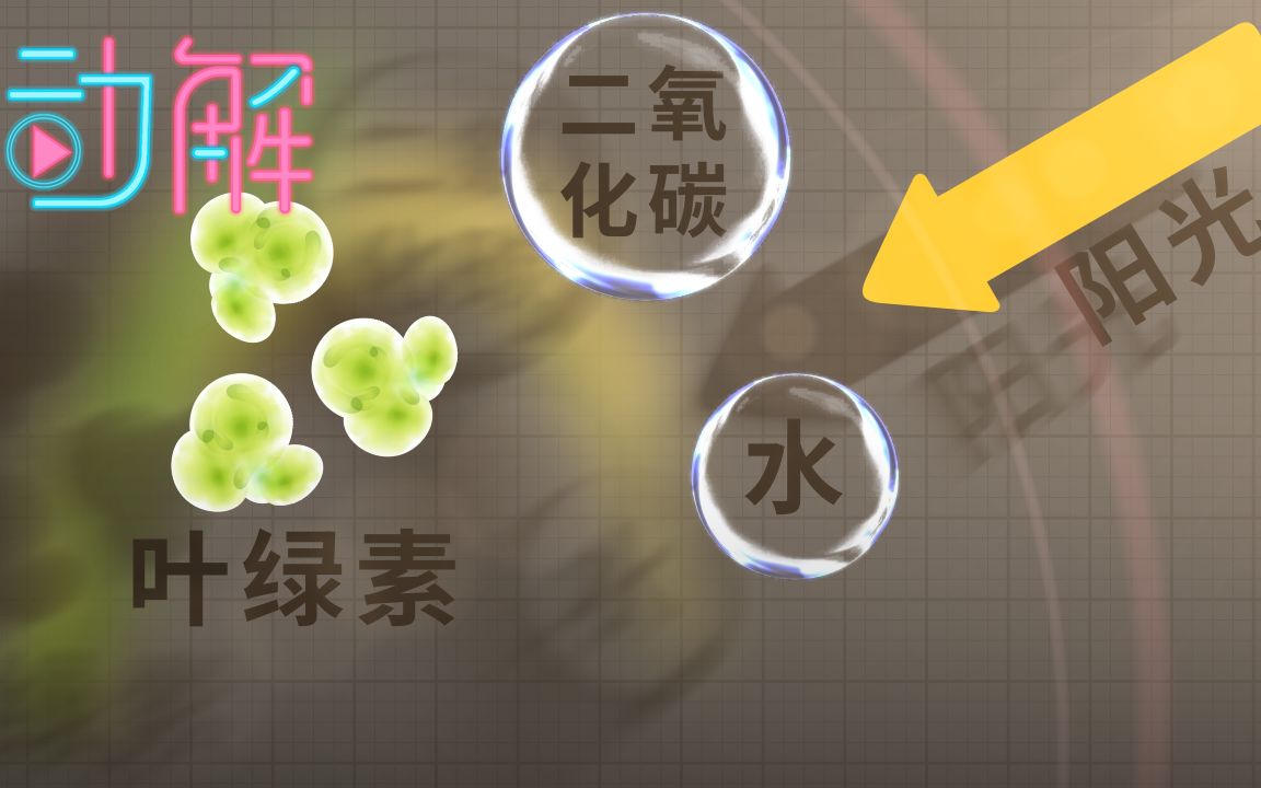 2分钟看懂二氧化碳如何造淀粉?对人类作用有多大?