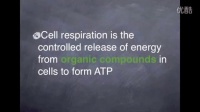 3.7.1 Define Cell Respiration
