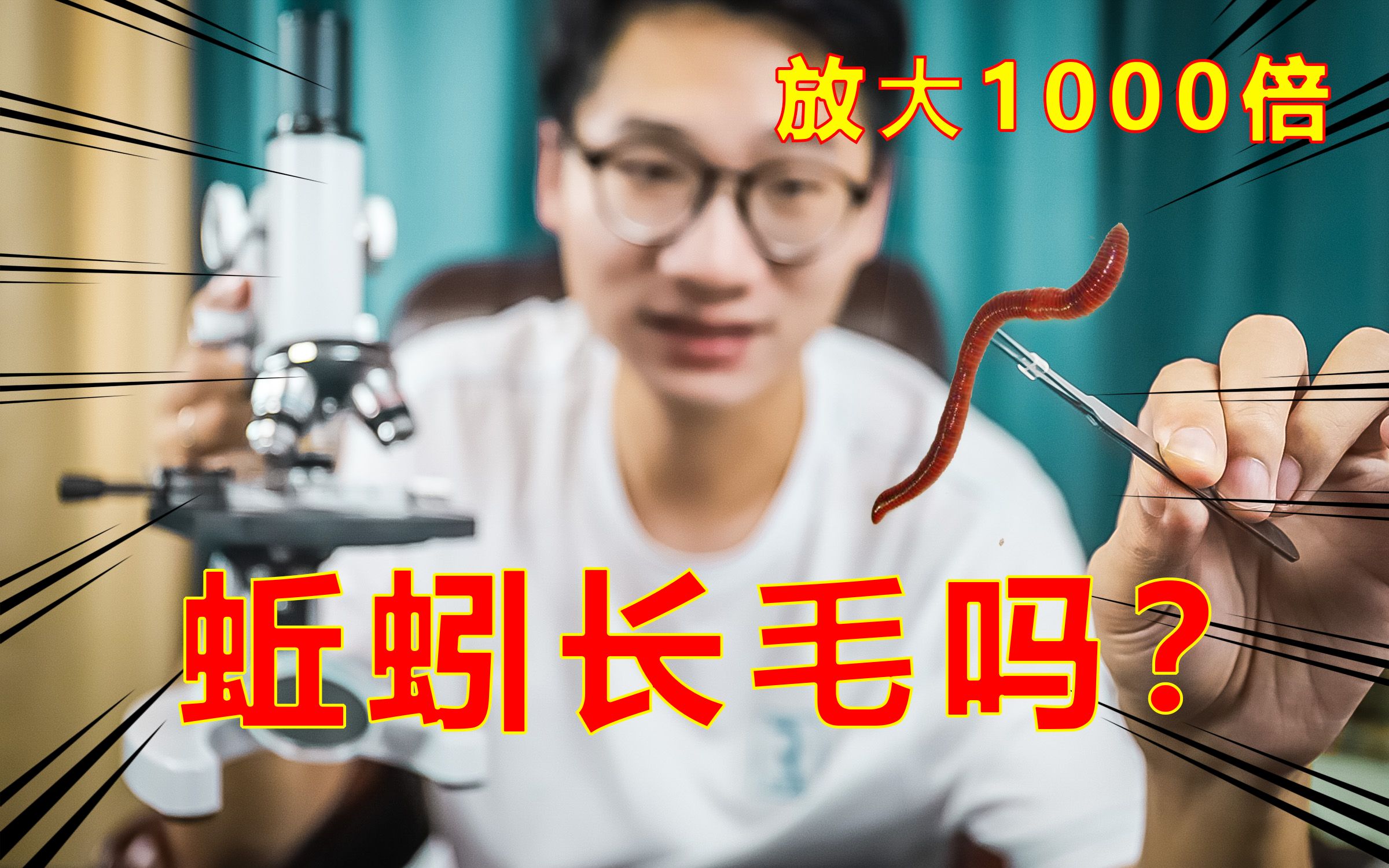 蚯蚓身体长毛吗?显微镜放大1000倍一探究竟!