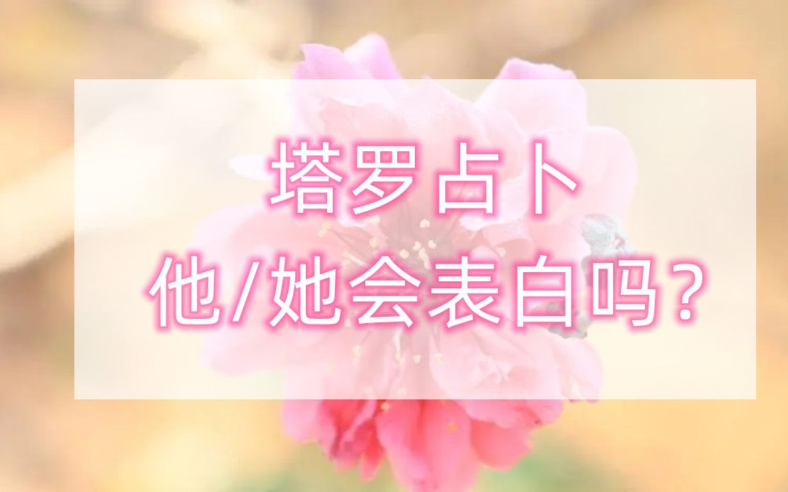 【塔罗牌占卜】他/她会表白吗?塔罗预测