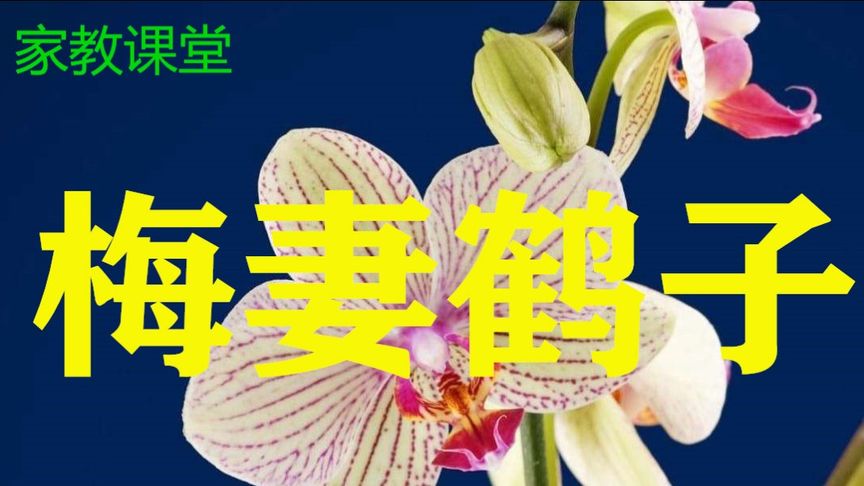 现代人的生活节奏快、压力大,怎样才会快乐呢?只需这样就行!