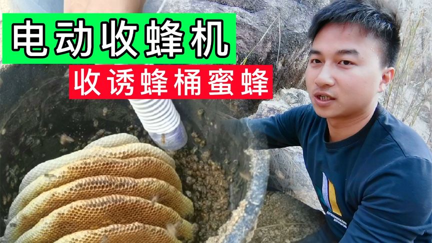 DIY做了个电动收蜂机去收诱蜂桶里面的蜜蜂速度很快又方便很不错